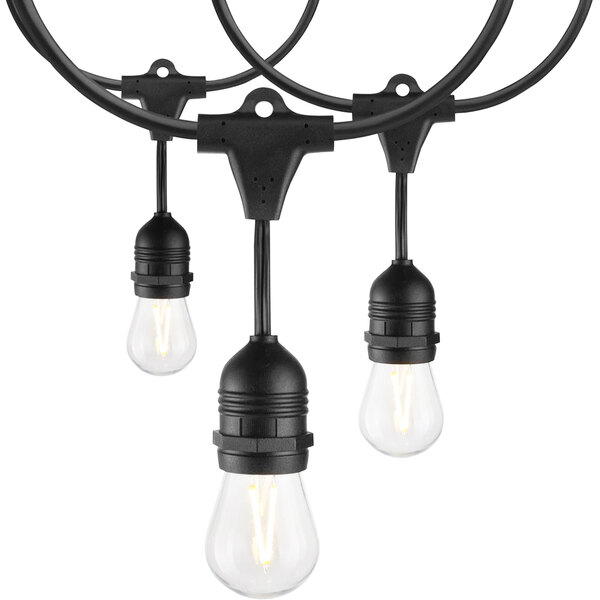 24' LED String Lights with (12) S14 Bulbs - 120V, 12W, 2200K