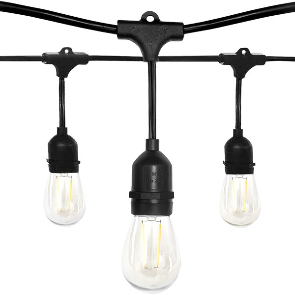 24' LED String Lights with (12) Filament Bulbs - 120V, 12W, 2700K