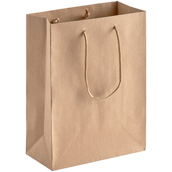 10" x 5" x 13" Customizable Brown Paper Bag with Rope Handles - 200/Case