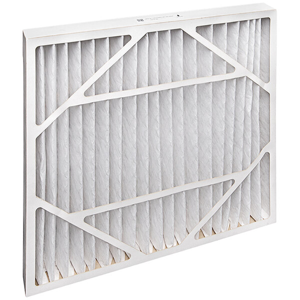 Dri-Eaz 125026 2" MERV 8 Pleated Paper HEPA 700 Filter for HEPA 700 Air ...
