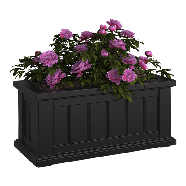 Mayne Cape Cod 11" x 24" x 11" Black Trough Planter
