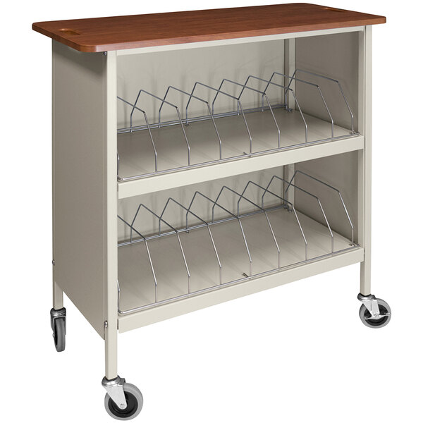 Omnimed Artisan Series Beige Cabinet Style Extra Large Chart Rack with ...