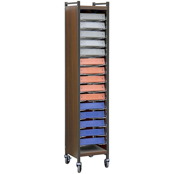 Omnimed Omnicart Woodgrain 12-Binder Tall Flat-Storage Closed Cart ...