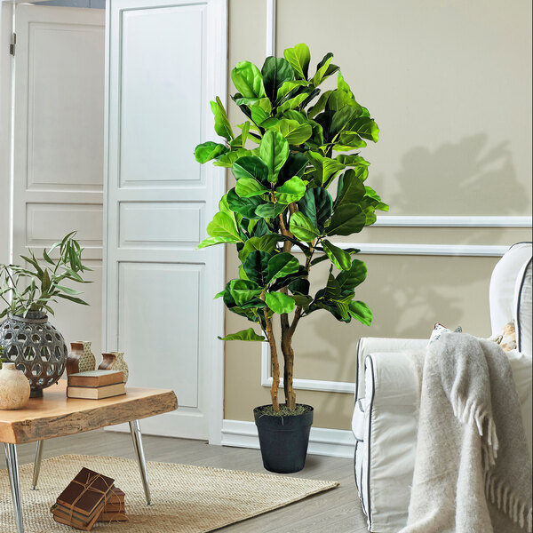 LCG Sales 6' Artificial Fig Tree in Black Plastic Pot