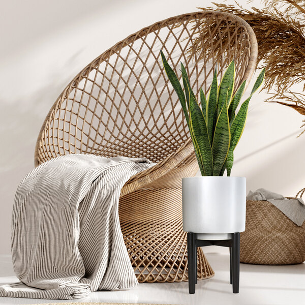 LCG Sales 12" White Ceramic Plant Stand