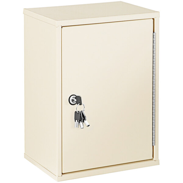 Harloff 11" x 8" x 15" Heavy-Duty 2-Door Narcotics Cabinet with 2 Key ...