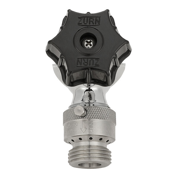 Zurn Elkay Z1341XL-P34-RC 3/4" FPT Rough Chrome Exposed Wall Faucet