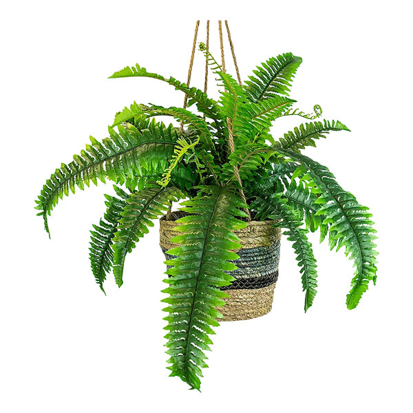 LCG Sales 30" Artificial Boston Fern in Tri-Color Hanging Basket