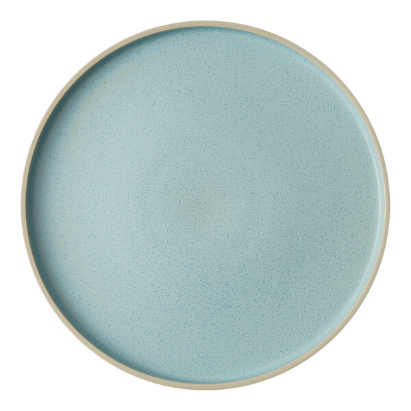 Luzerne Moira by Oneida 1880 Hospitality 7 3/4" Frosted Blue Stoneware ...