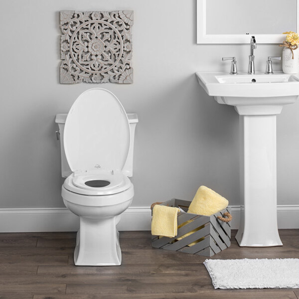 Bemis Toilet Seat For Potty Training at Caitlin Shaeffer blog