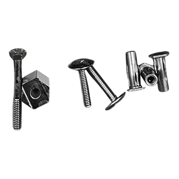 Ashland PolyTrap RVT-50-75 RivNut Repair Kit with Screws for APLI-50-7 ...
