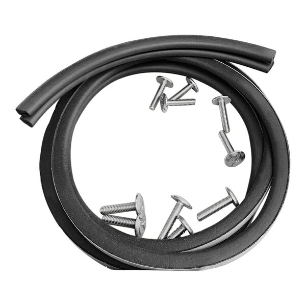 Ashland PolyTrap GSK-10-15 Gasket Set with Screws for APLI-10-1, 4810 ...