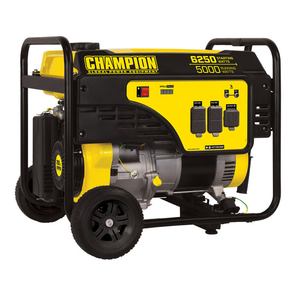 Champion Power Equipment 292 CC Gasoline Powered Portable Generator ...