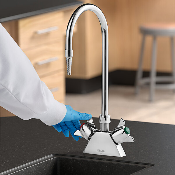 Delta Faucet W6700 Deck-Mounted Laboratory Faucet with 6" Rigid ...
