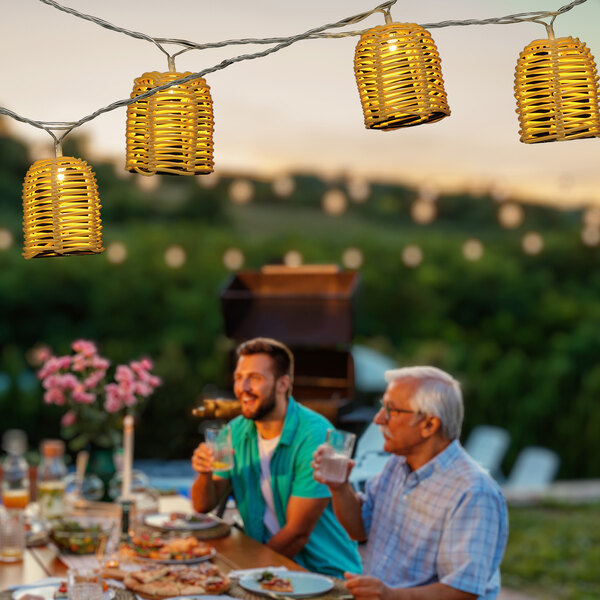 Globe Cordelia Modern 11' LED String Lights with (10) F5 Bulbs and Faux ...