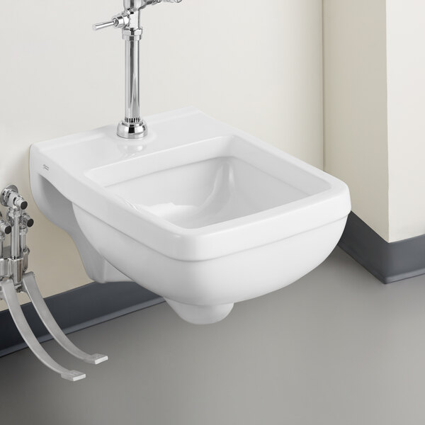American Standard 9512999.020 White Vitreous China Wall-Mount Clinic ...