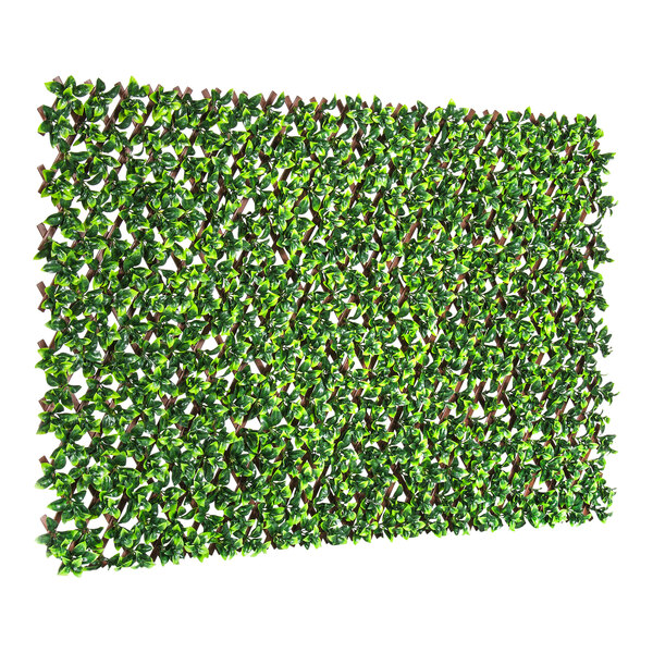 NatraHedge 1100 Series 12" x 124" Expandable Artificial Ficus Privacy Fence