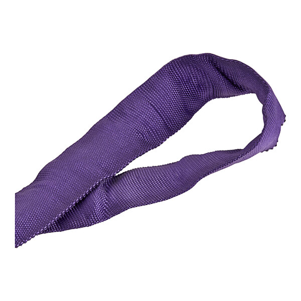 Lift-All 4' Purple Tuflex Endless Polyester Roundsling EN30X4
