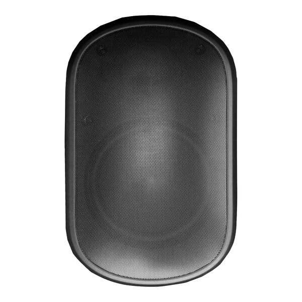 Speco Technologies Contractor Elite 8" Black Outdoor Wall-Mount Speaker ...