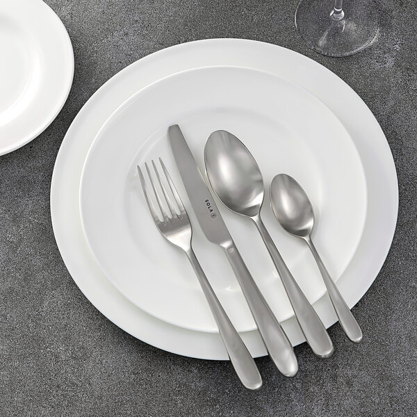 Sola the Netherlands Siena Satin 6" 18/10 Stainless Steel Extra Heavy ...