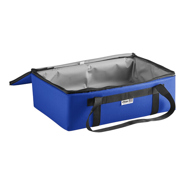 Sterno Customizable 24" x 16" x 8" Medium Royal Blue Nylon Insulated ...