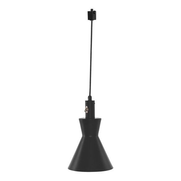 Hanson Heat Lamps 300-C-BK-TKF-120V Ceiling Mount Heat Lamp with Black ...
