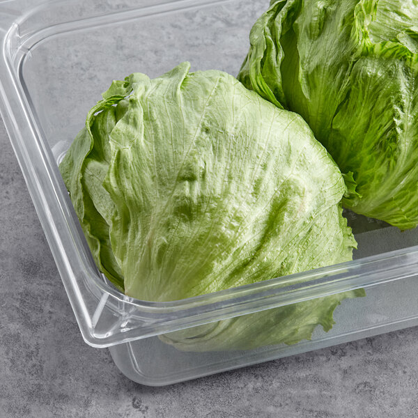 Fresh Iceberg Lettuce - 24/Case