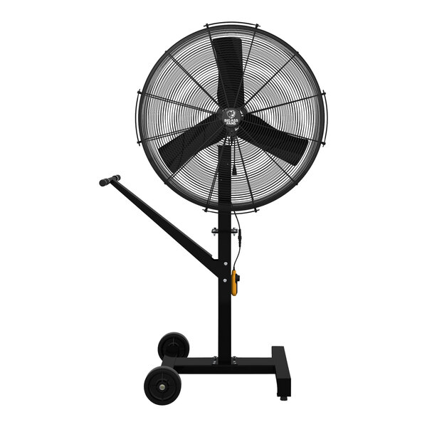 Big Ass Fans AirEye 36" Midnight Black Pedestal / Low Rider Fan - 120V ...