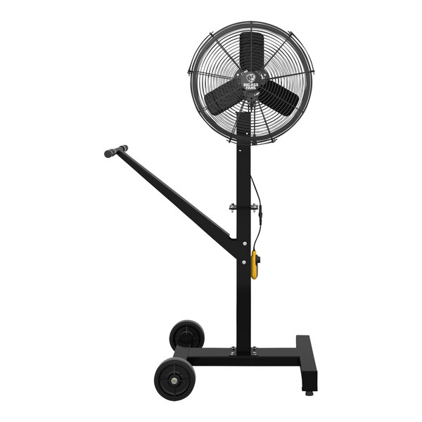 Big Ass Fans AirEye 20" Midnight Black Pedestal / Low Rider Fan - 120V ...