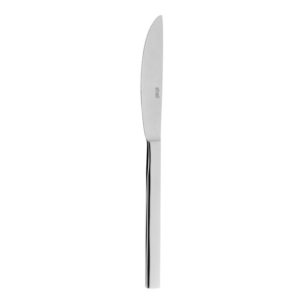 Abert Neo 9 1/8" 18/10 Stainless Steel Extra Heavy Weight Dinner Knife ...