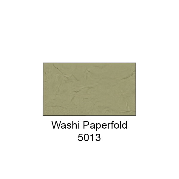 ASI Accurate Partitions Moisture Guard 4077824805013 24" x 48" Washi ...