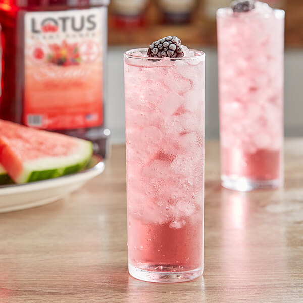 Lotus Plant Power Skinny Sugar-Free Red Lotus 5:1 Energy Concentrate 64 ...