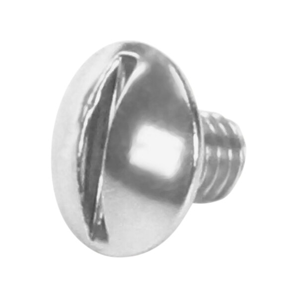 Bunn 01326.0000 Screw, Trh Sltd Sst 10-32X.25