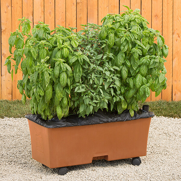 EarthBox ORIGINAL 13 1/2" x 29" x 11" Terra Garden Kit