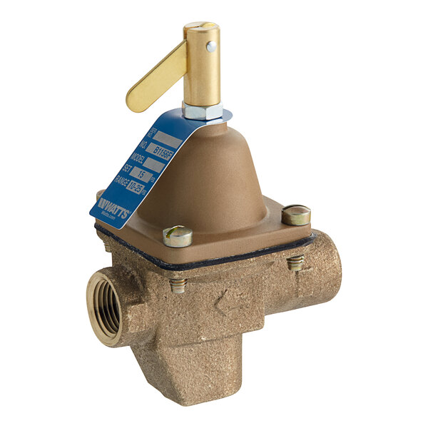 Watts 0386423 1156F 1/2" Threaded FNPT x FNPT High-Capacity Feed Water ...