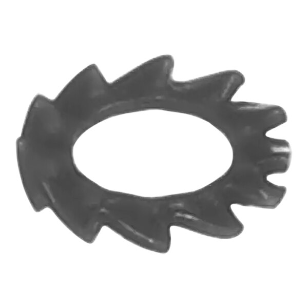 Anfim 101-R-Z-4 Serrated Washer 04 Type "E"