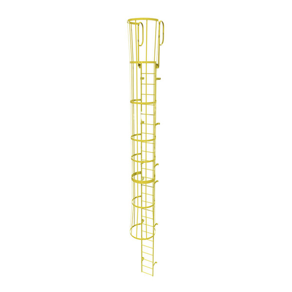 Tri-Arc 26-Rung Yellow Steel Fixed Ladder with Safety Cage and Walk ...