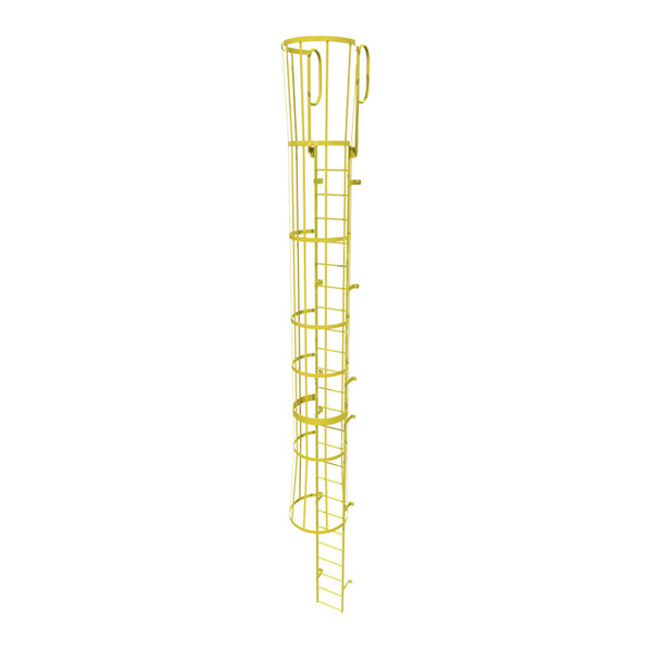 Tri-Arc 25-Rung Yellow Steel Fixed Ladder with Safety Cage and Walk ...