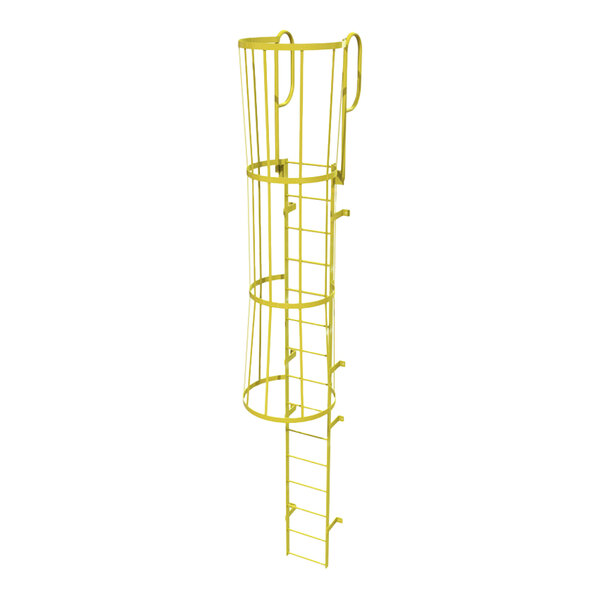 Tri-Arc 15-Rung Yellow Steel Fixed Ladder with Safety Cage and Walk ...