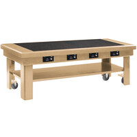 Induction & Radiant Heat Buffet Tables at WebstaurantStore