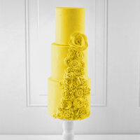 Rolled Fondant: Pre-Rolled Fondant Sheets | WebstaurantStore