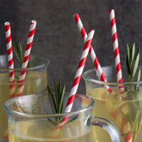 Bulk Straws: Plastic & Paper Drinking Straws Wholesale