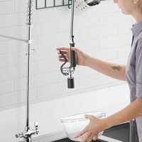 Pre Rinse Spray Valves: Pre Rinse Spray Heads & More