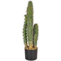 Kalalou Artificial Multi-Trunk Cactus in Black Plastic Pot