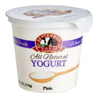 Bulk Yogurt: Wholesale at WebstaurantStore