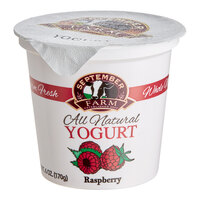 Bulk Yogurt: Wholesale at WebstaurantStore
