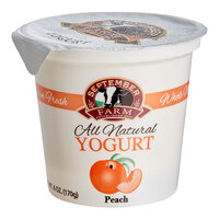 Bulk Yogurt: Wholesale at WebstaurantStore