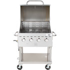 Commercial Outdoor Grills: Gas, Propane, & Event Grills