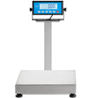Legal For Trade Scales: NTEP Certified Scales at Low Prices