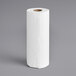 2-Ply Paper Towel Roll - 30/Case | Shop in Bulk
